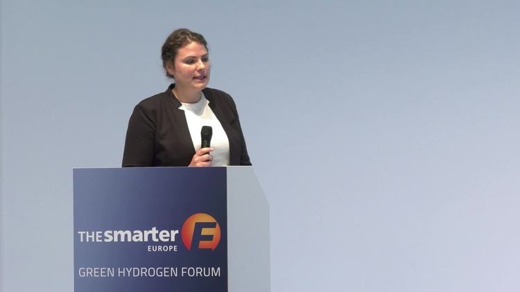 International Hydrogen Ramp-Up Program (H2Uppp) for Early Green ...